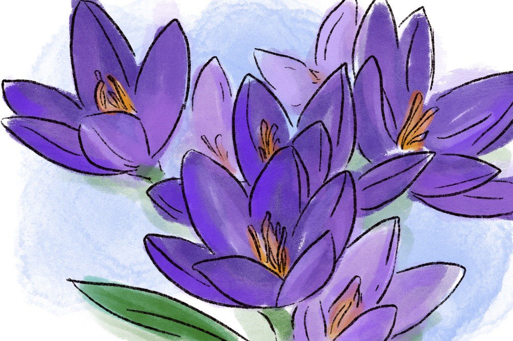 processional equinox